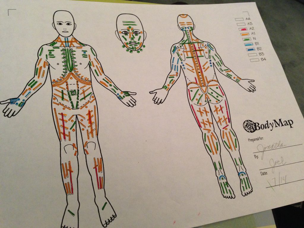 Bodymap Reading & Interpretation - Bodynamic International