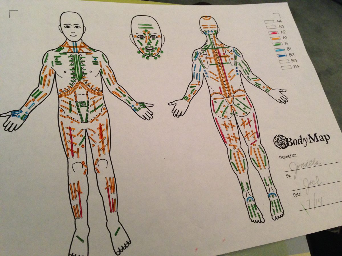 Bodymap Reading & Interpretation - Bodynamic International