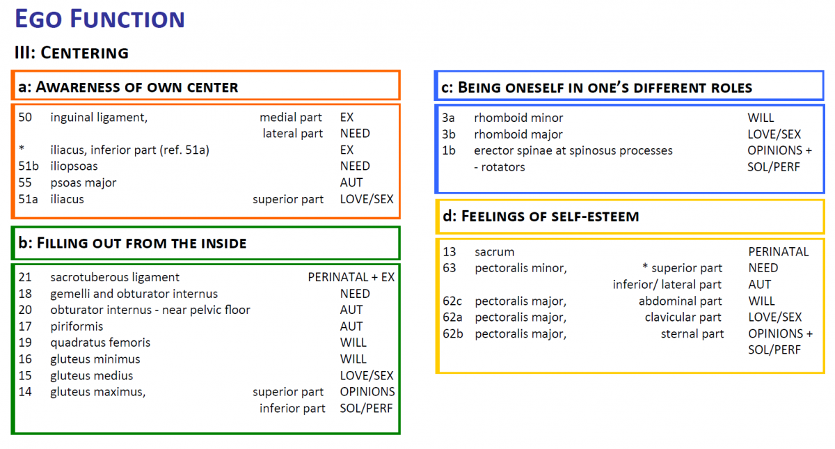 Theory - Bodynamic International