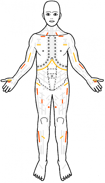 Theory - Bodynamic International