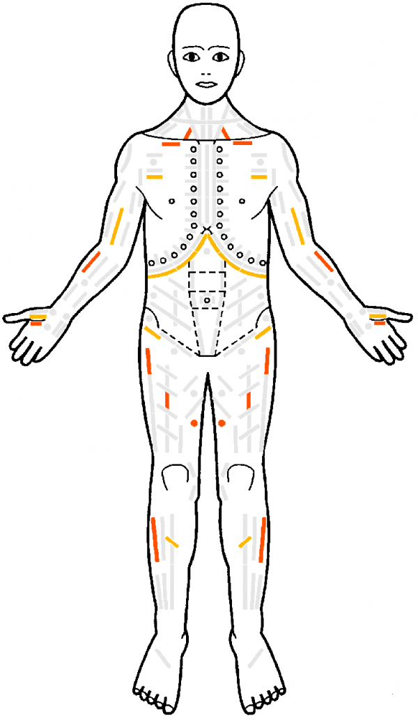 Theory - Bodynamic International