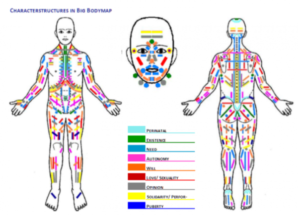 Bodymap Testing & Interpretation - Bodynamic International