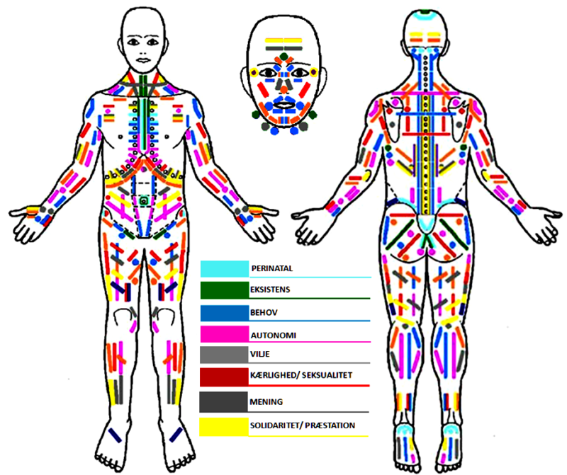 Blog - Bodynamic International