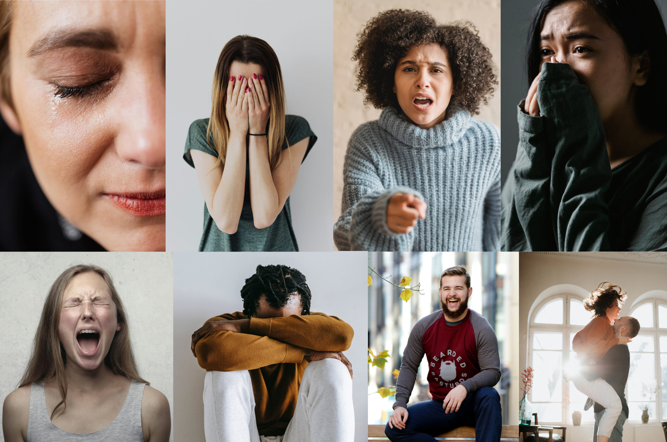 Embodiment of Emotions - Feb 2024 - Bodynamic International